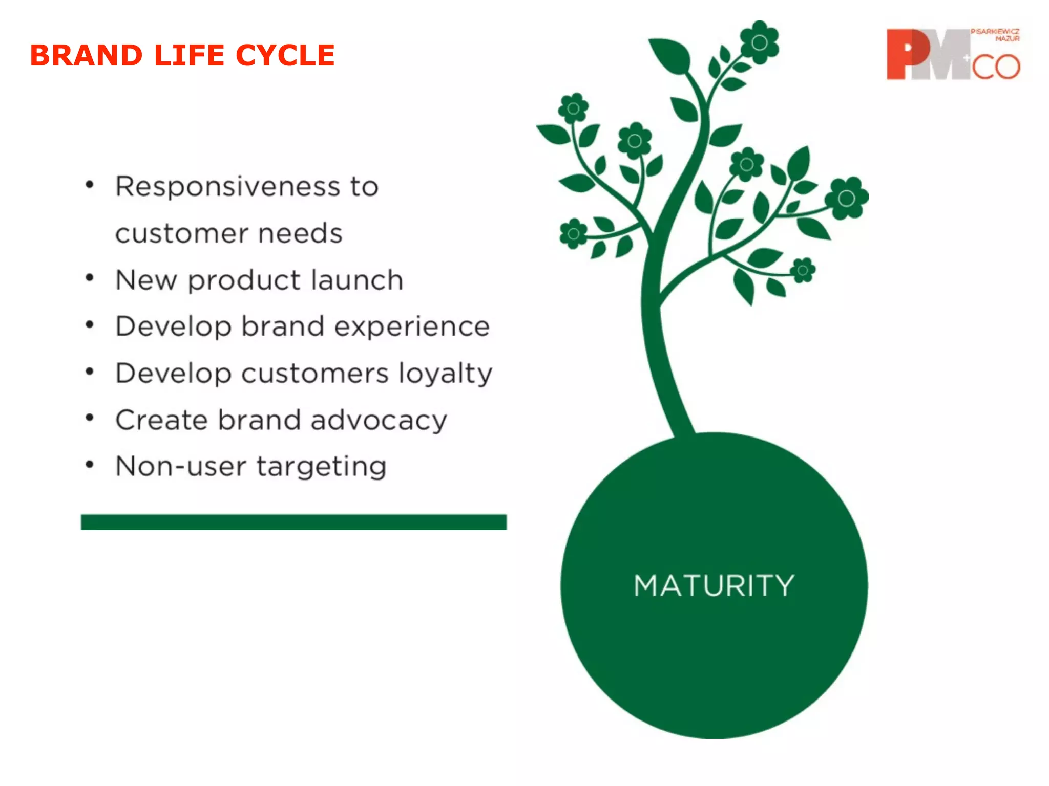 Timing is Everything: Understand a brand’s life cycle to ensure maximum ...