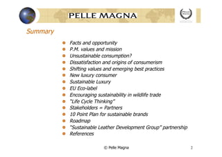 Pelle Magna Concept And Vision | PDF