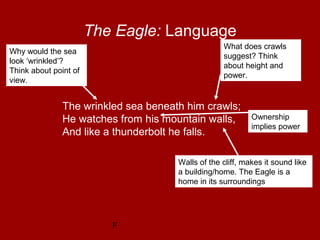 P mc the eagle by alfred lord tennyson | PPT