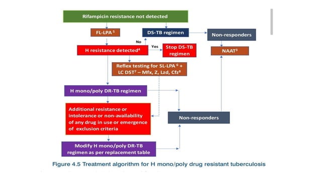 PMDT Guidelines and management strategies | PPTX