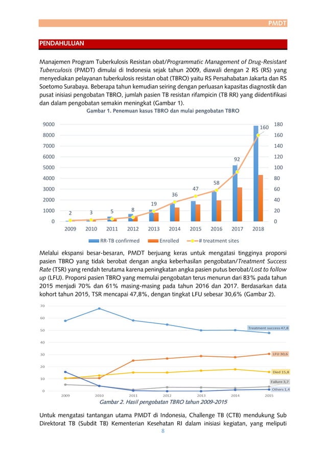 Pmdt laporan teknis ctb | PDF