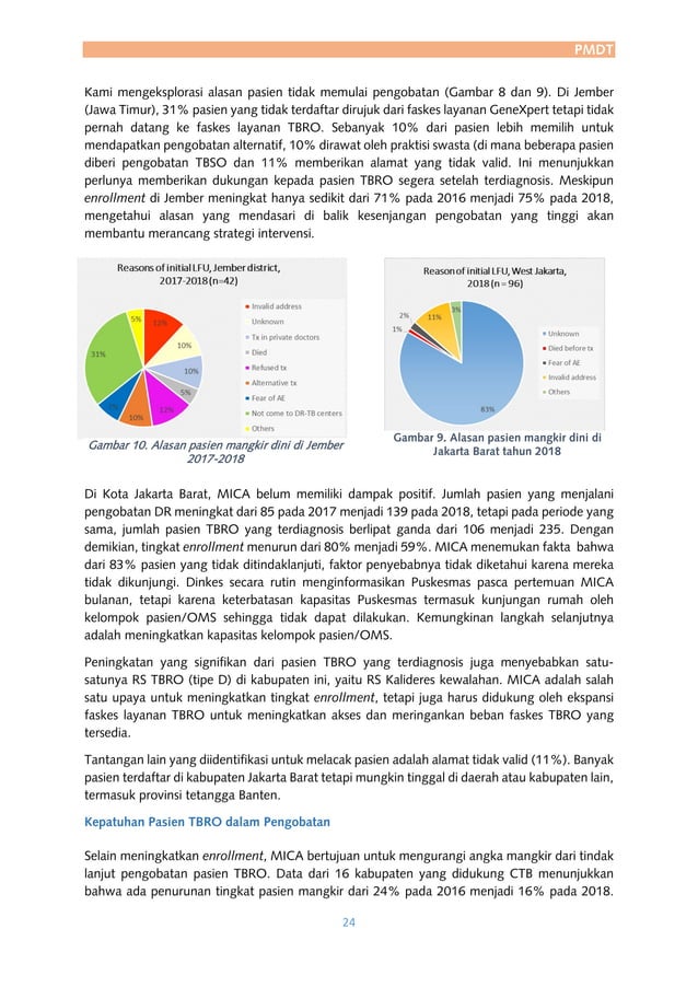 Pmdt laporan teknis ctb | PDF