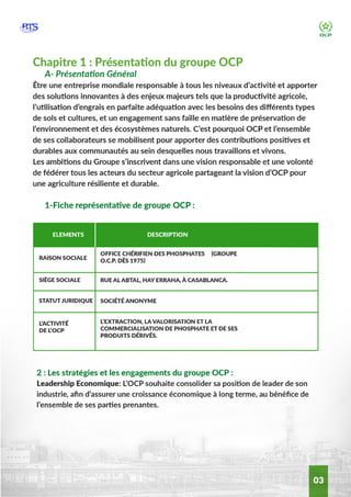 rapport de stage ocp | PDF