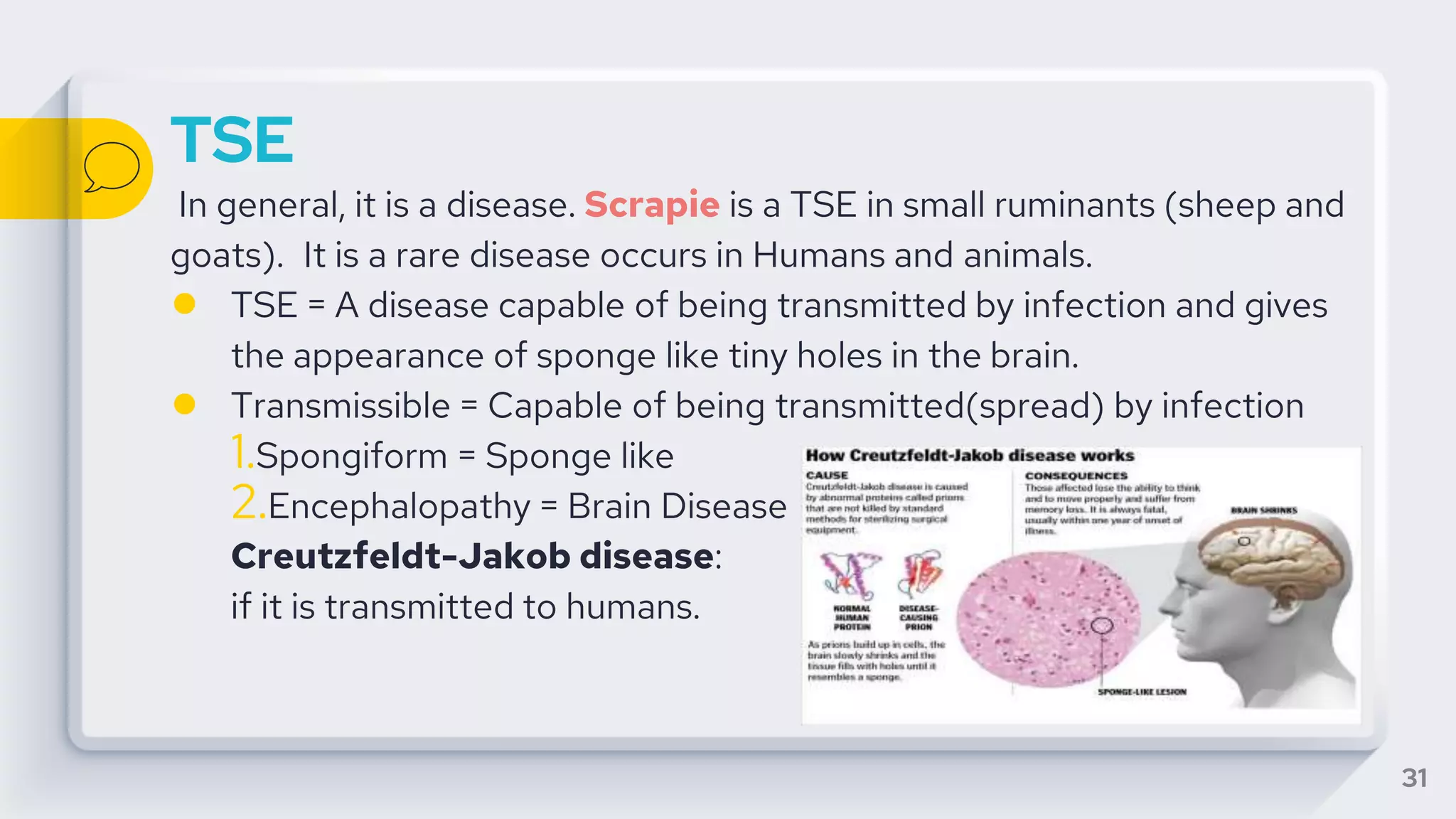 Plasma drug file and TSE/ BSE evaluation | PPTX