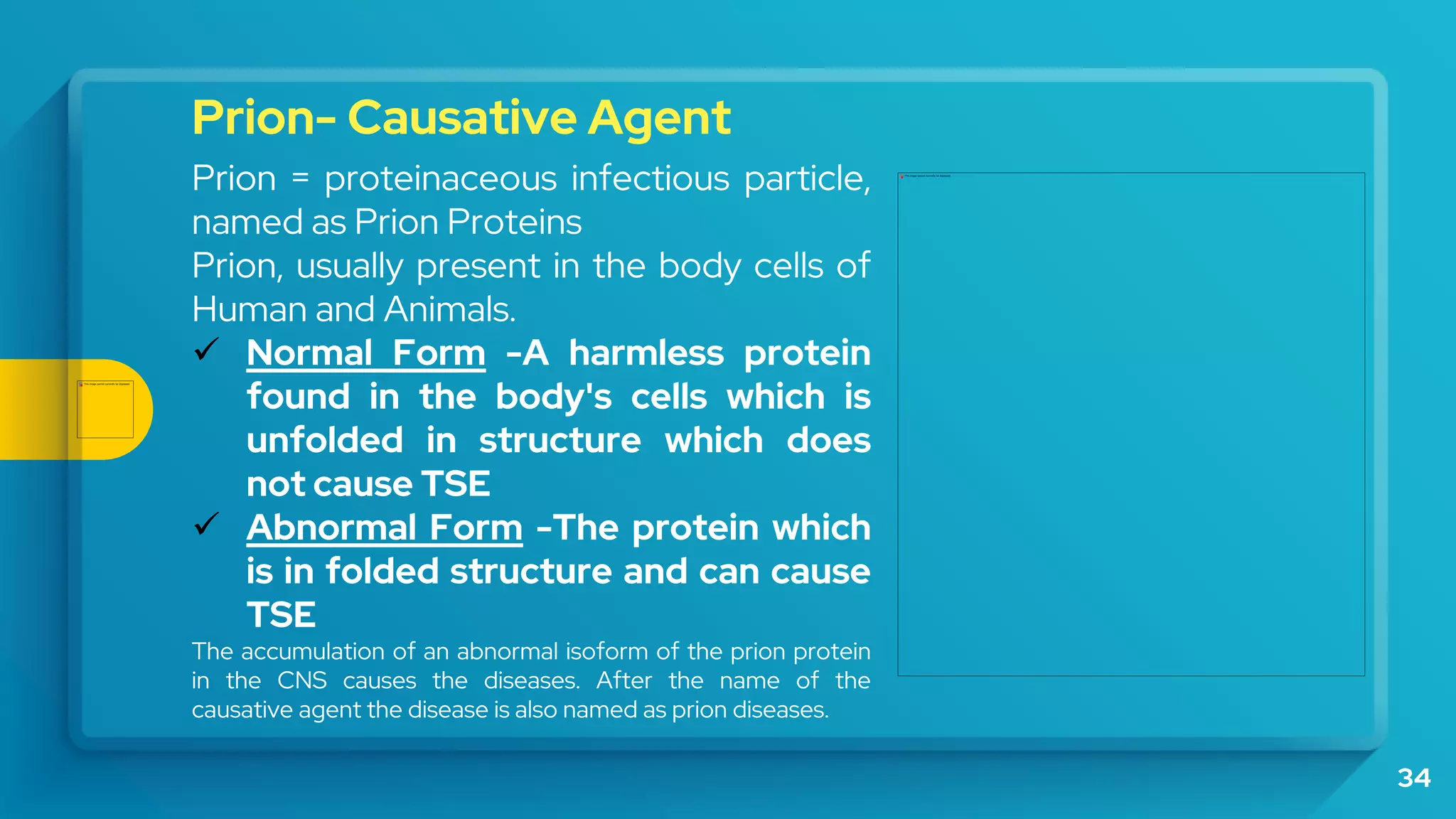 Plasma drug file and TSE/ BSE evaluation | PPTX