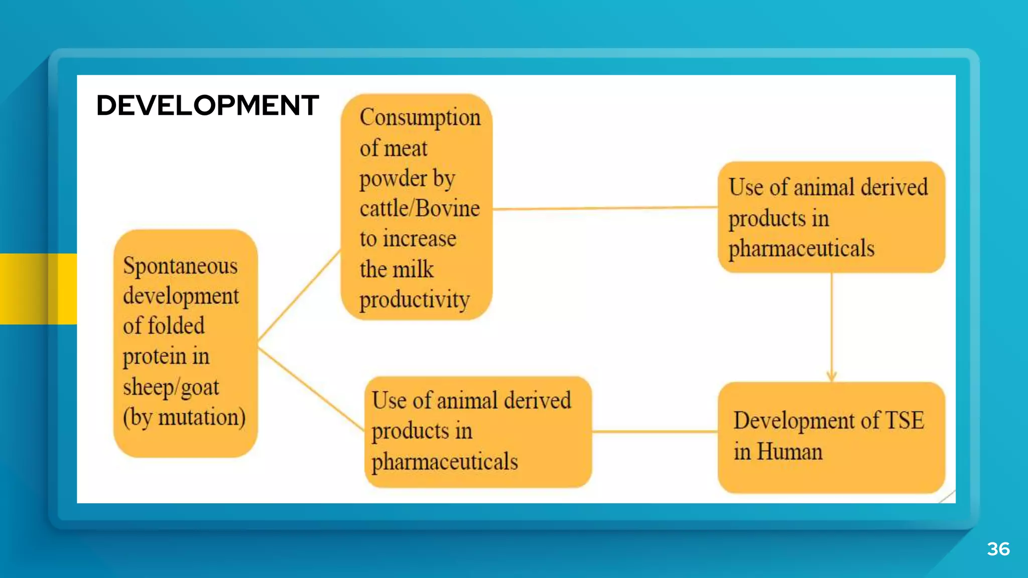 Plasma drug file and TSE/ BSE evaluation | PPTX