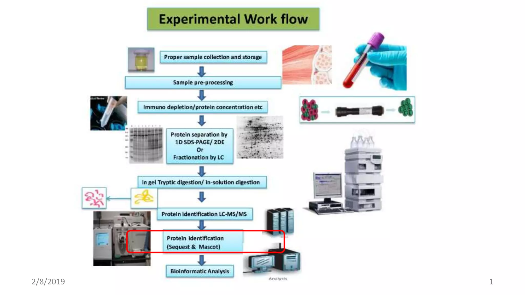 Peptide Mass Fingerprinting (PMF) and Isotope Coded Affinity Tags (ICAT) | PPTX