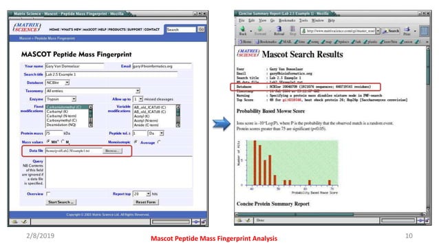 Peptide Mass Fingerprinting (PMF) and Isotope Coded Affinity Tags (ICAT) | PPTX