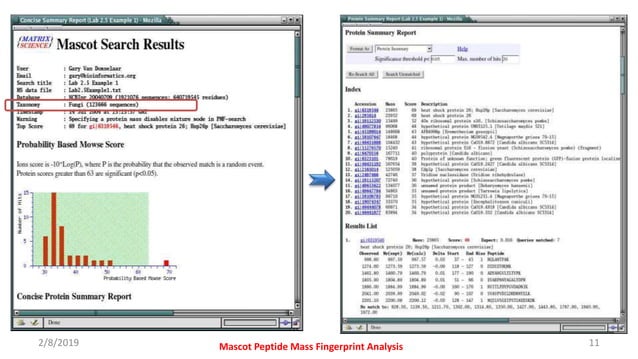 Peptide Mass Fingerprinting (PMF) and Isotope Coded Affinity Tags (ICAT ...