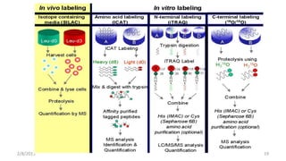 Peptide Mass Fingerprinting (PMF) and Isotope Coded Affinity Tags (ICAT) | PPTX