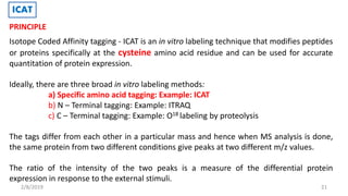 Peptide Mass Fingerprinting (PMF) and Isotope Coded Affinity Tags (ICAT) | PPTX