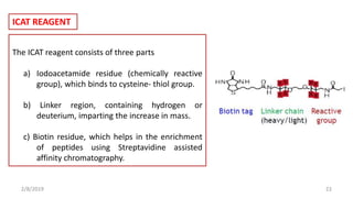 Peptide Mass Fingerprinting (PMF) and Isotope Coded Affinity Tags (ICAT) | PPTX