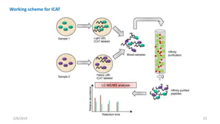 Peptide Mass Fingerprinting (PMF) and Isotope Coded Affinity Tags (ICAT ...