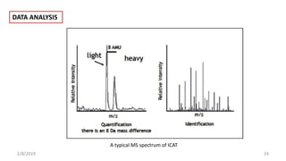 Peptide Mass Fingerprinting (PMF) and Isotope Coded Affinity Tags (ICAT ...