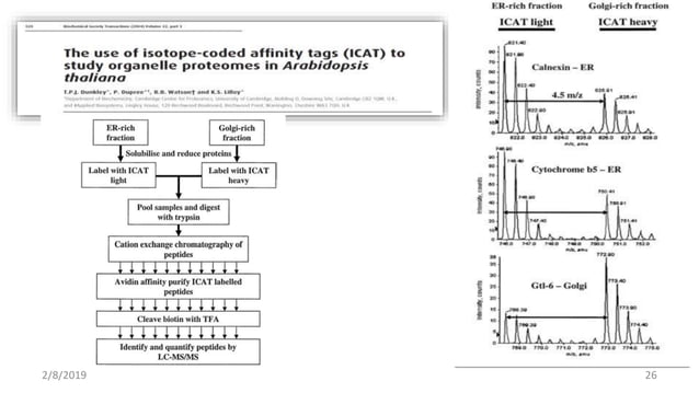 Peptide Mass Fingerprinting (PMF) and Isotope Coded Affinity Tags (ICAT ...