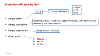 Peptide Mass Fingerprinting (PMF) and Isotope Coded Affinity Tags (ICAT ...