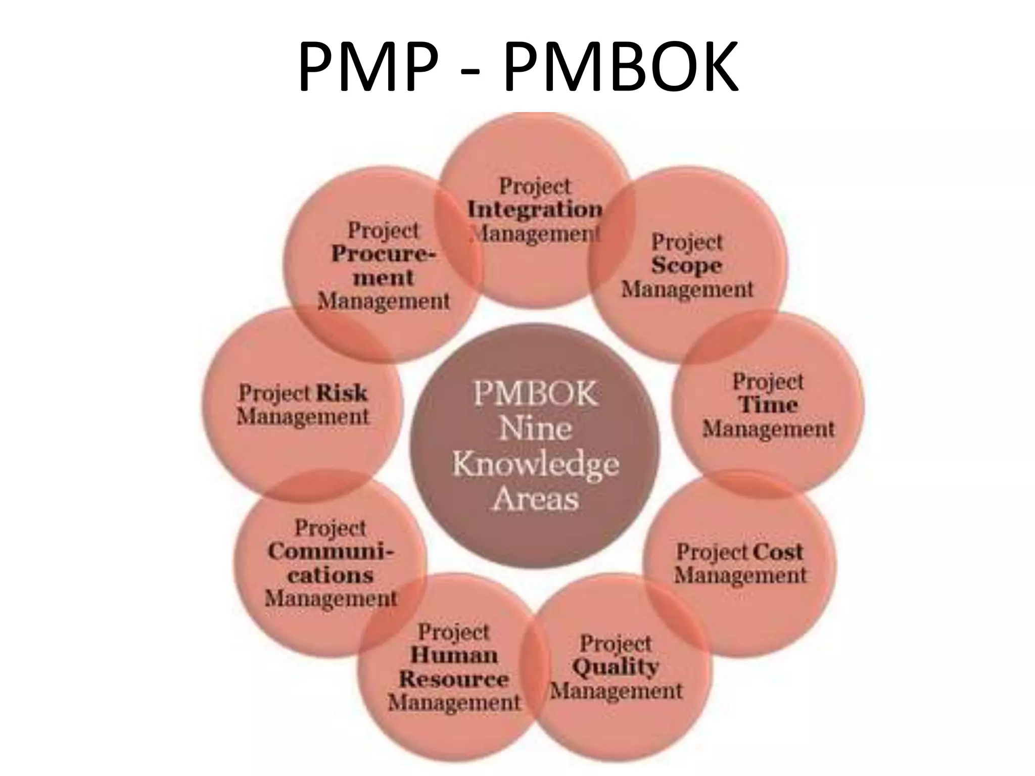 Project Management for non Project Managers | PPTX