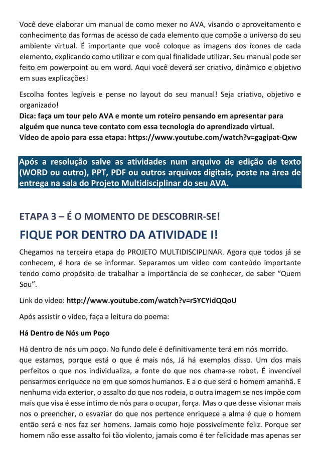 pmg geral (1).pdf