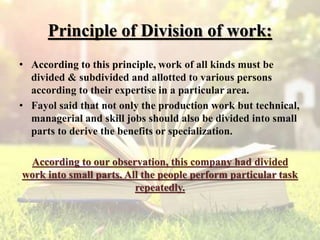 Survey of 14 Principles Of Management followed by a company! | PPTX