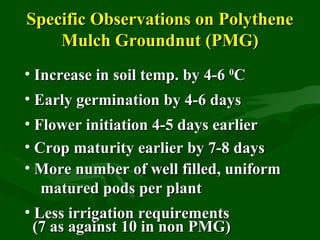 PMG Technology Doubling Groundnut Yields | PPT