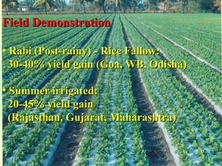 PMG Technology Doubling Groundnut Yields | PPT