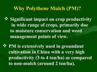 PMG Technology Doubling Groundnut Yields | PPT