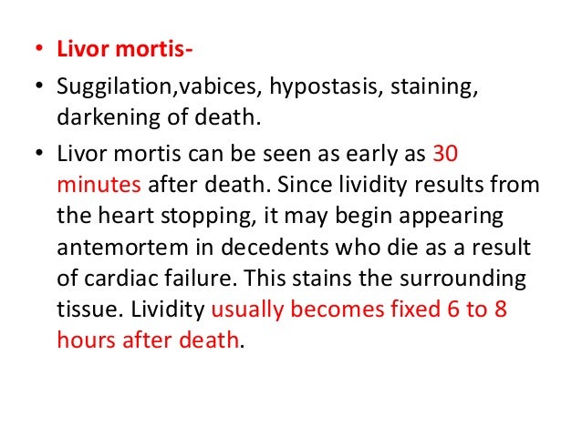 Algor Mortis Timeline