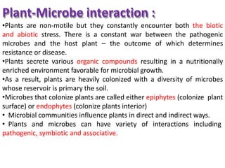 plant microbe | PPTX