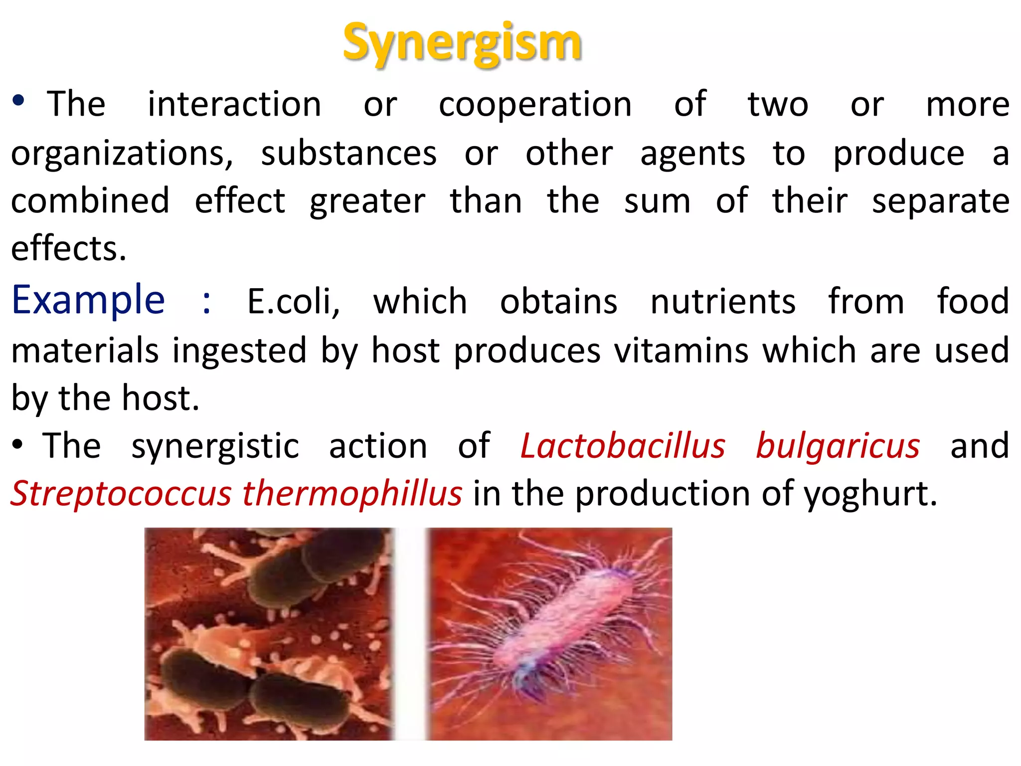 Plant Microbe Interaction | PPTX