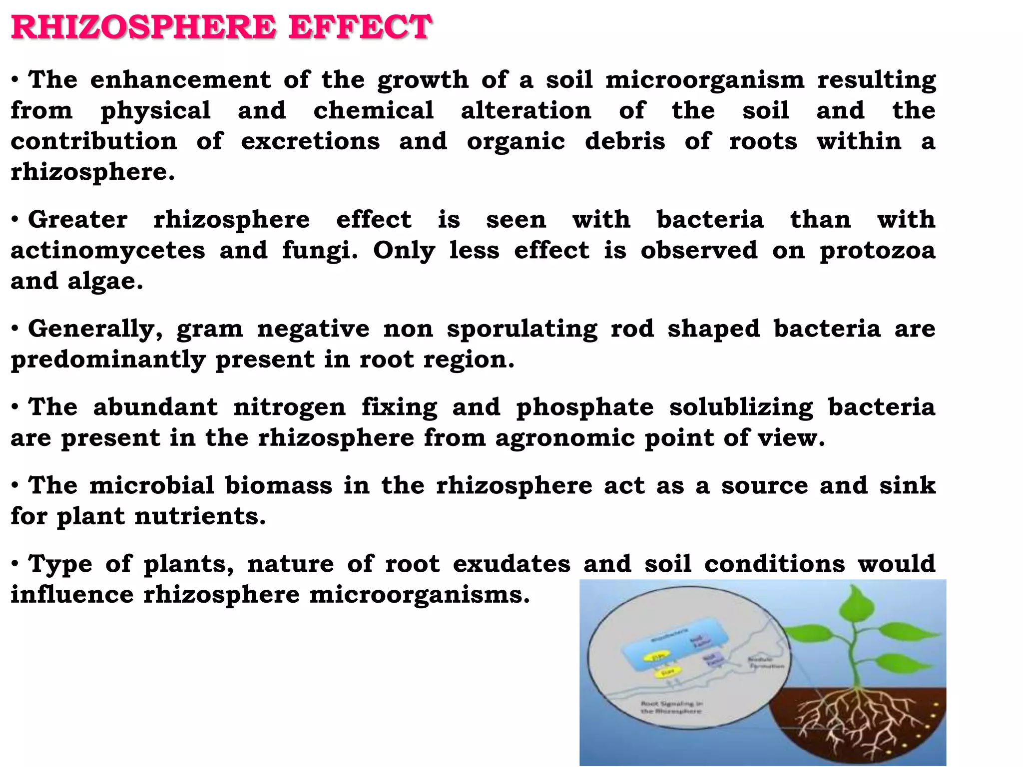 Plant Microbe Interaction | PPTX