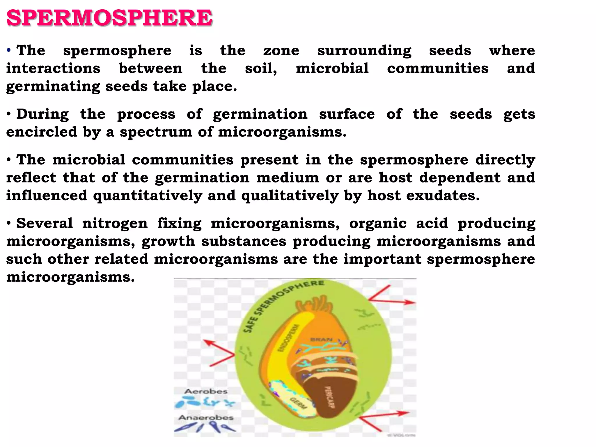 Plant Microbe Interaction | PPTX