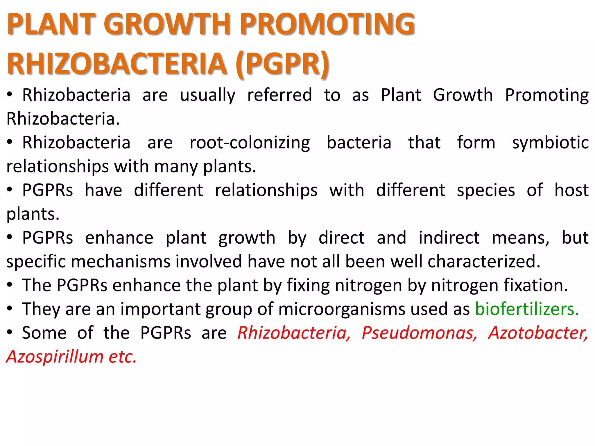 Plant Microbe Interaction | PPTX