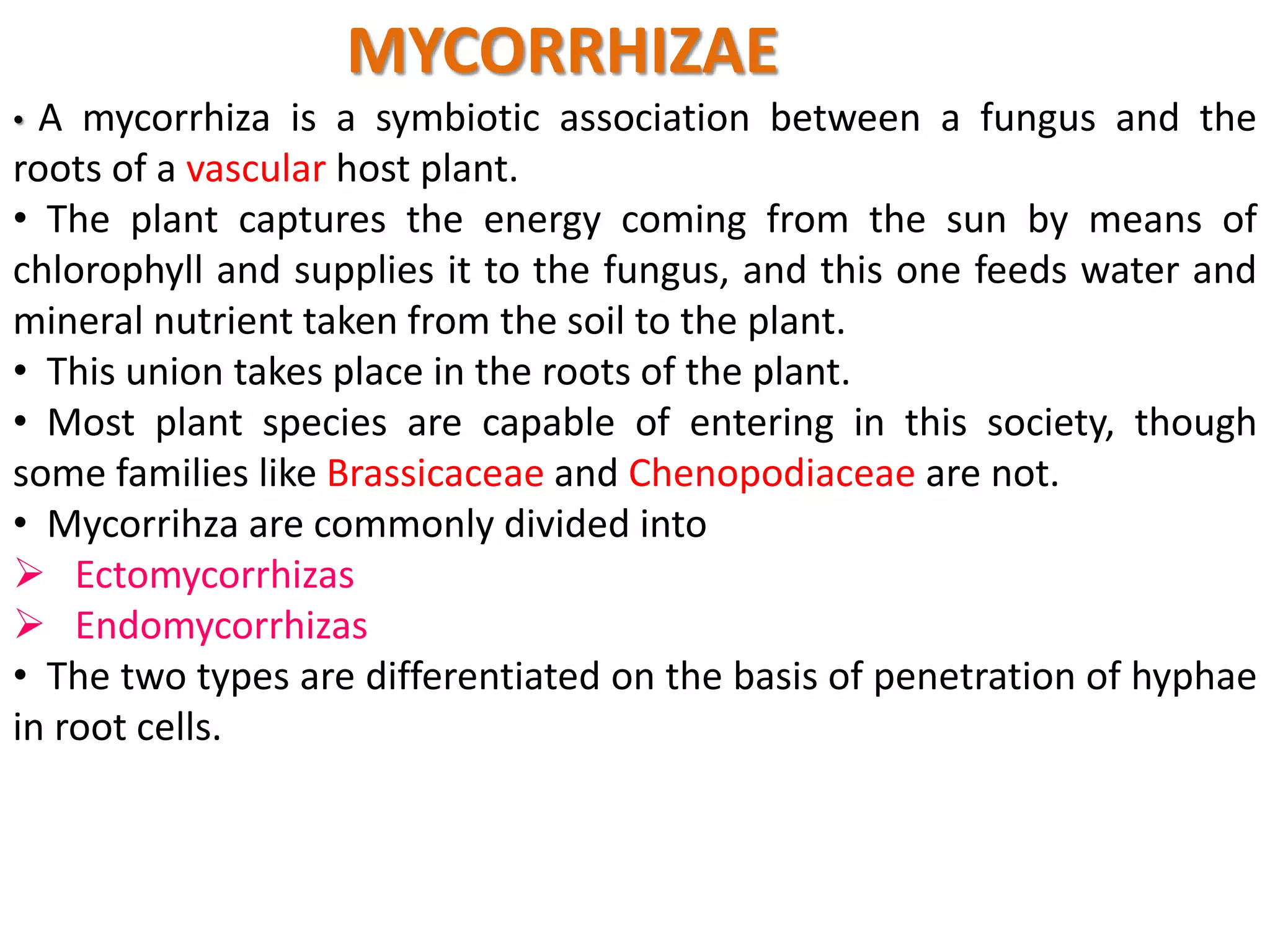 Plant Microbe Interaction | PPTX