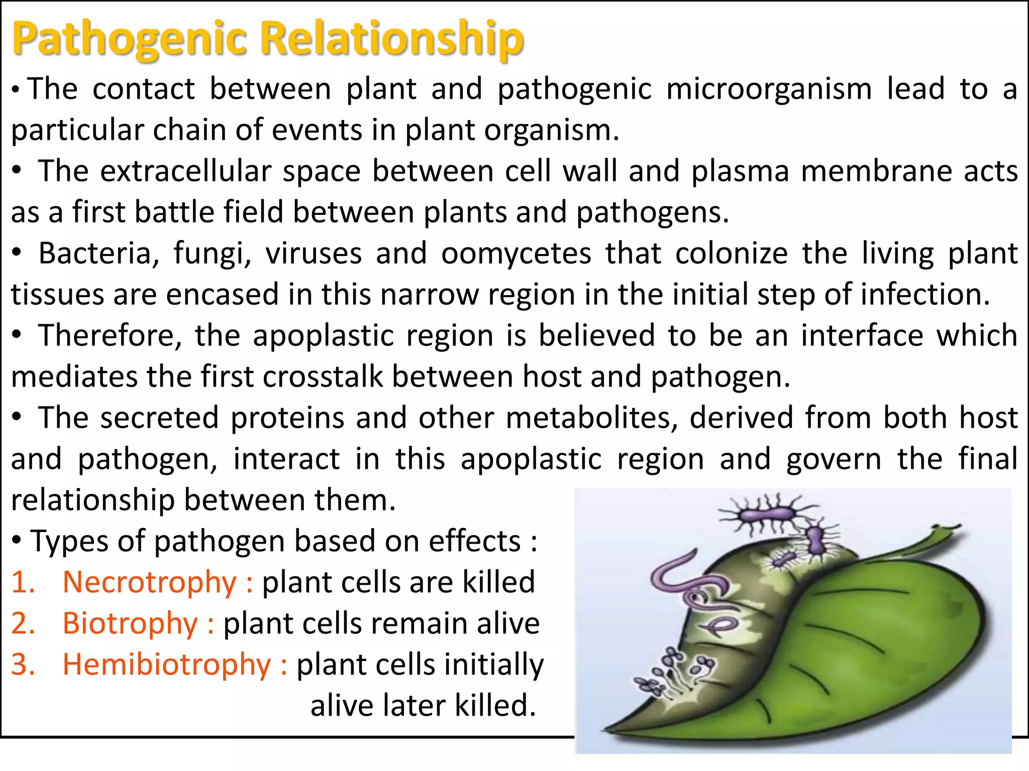 Plant Microbe Interaction | PPTX