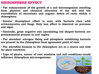 Plant Microbe Interaction | PPTX