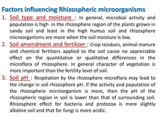Plant Microbe Interaction | PPTX