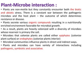 Plant Microbe Interaction | PPTX
