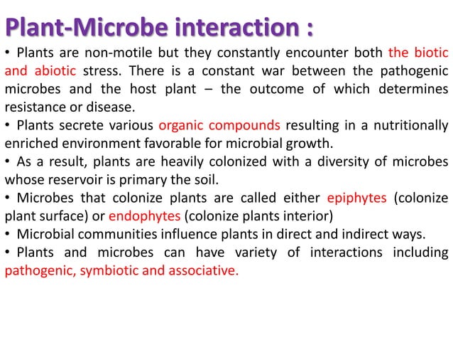 Plant Microbe Interaction | PPTX