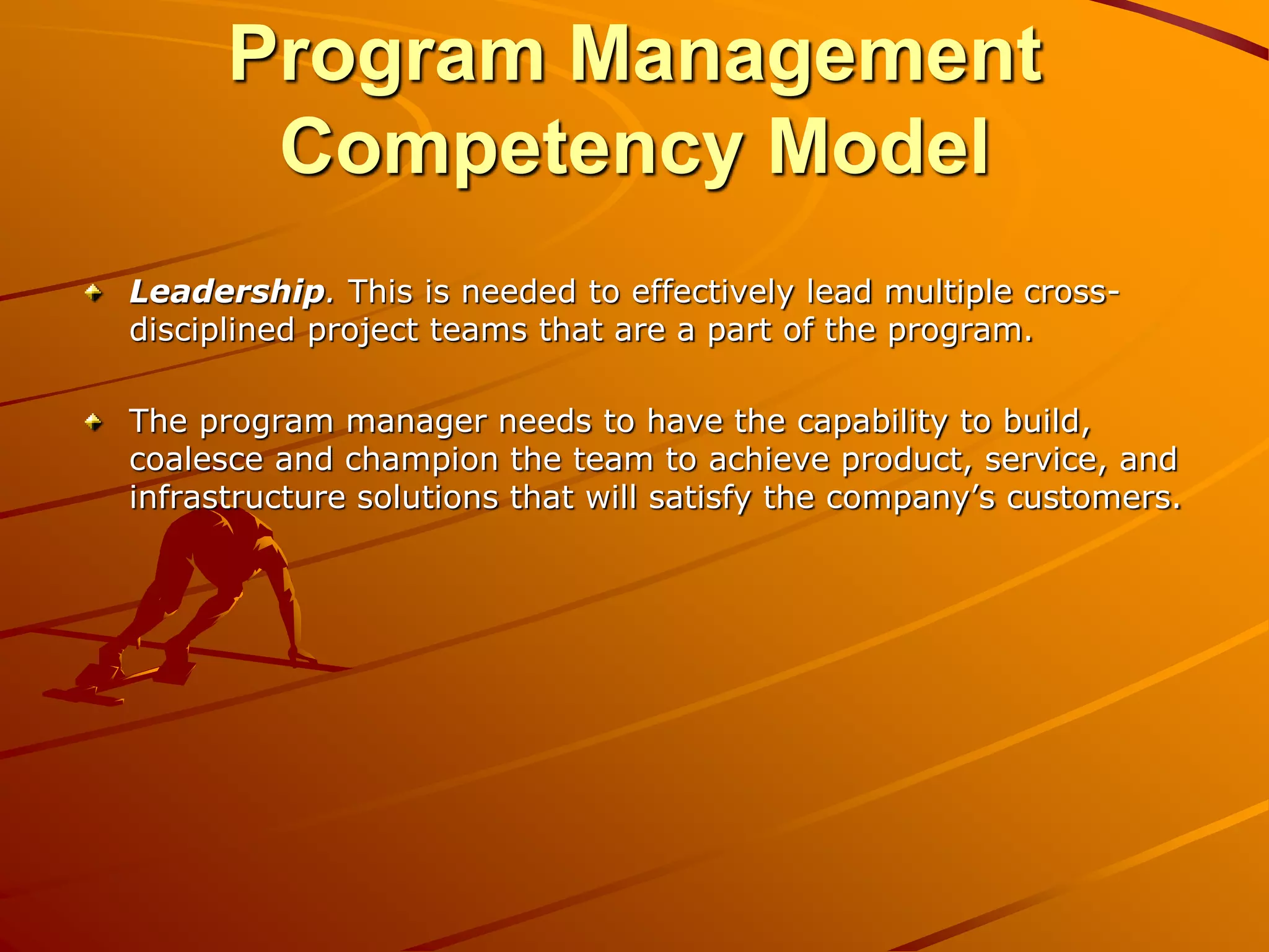 Project Management vs. Program Management: Strategies for Transition ...