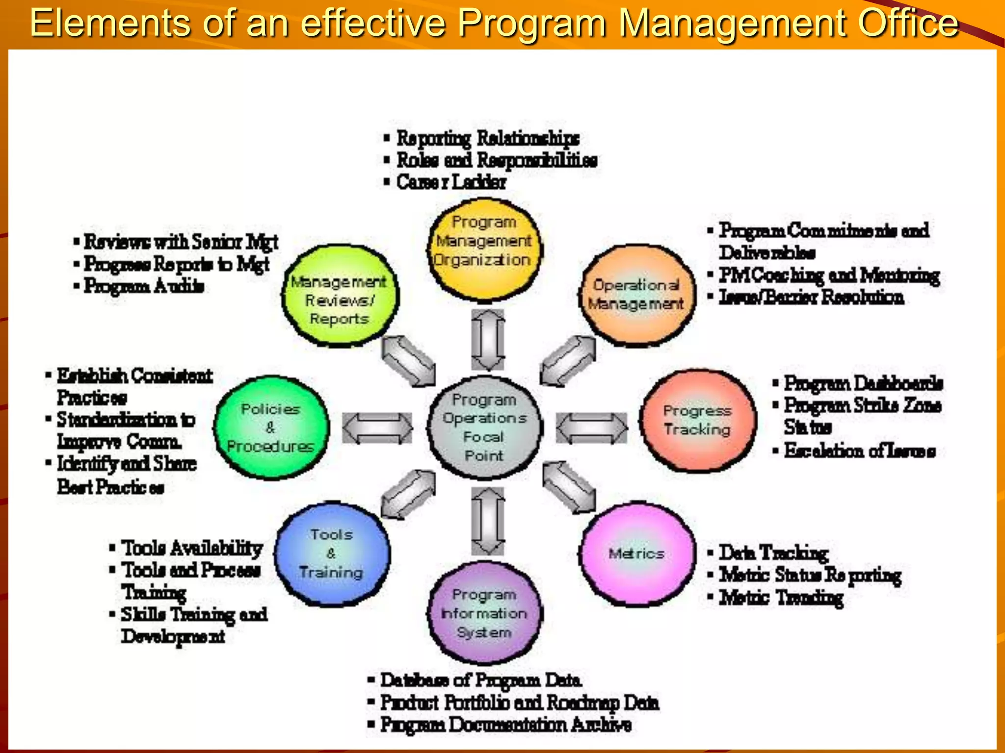 Project Management vs. Program Management: Strategies for Transition ...