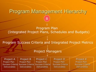 Project Management vs. Program Management: Strategies for Transition Success | PPTX | Business ...