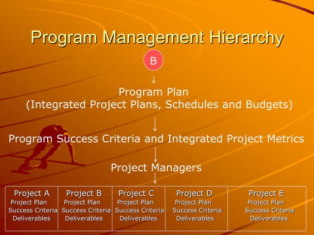 Project Management vs. Program Management: Strategies for Transition ...