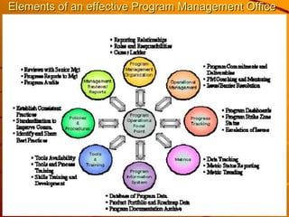 Project Management vs. Program Management: Strategies for Transition ...