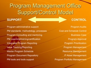 Project Management vs. Program Management: Strategies for Transition ...