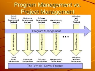 Project Management vs. Program Management: Strategies for Transition ...