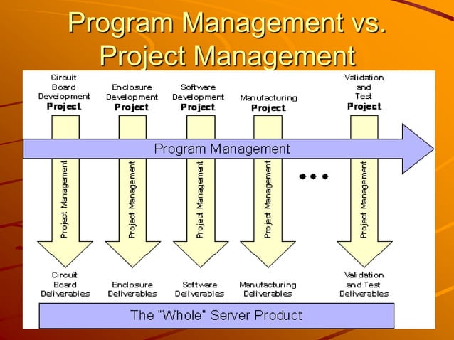 Project Management vs. Program Management: Strategies for Transition ...