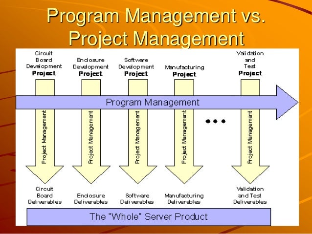Project Management vs. Program Management: Strategies for Transition
