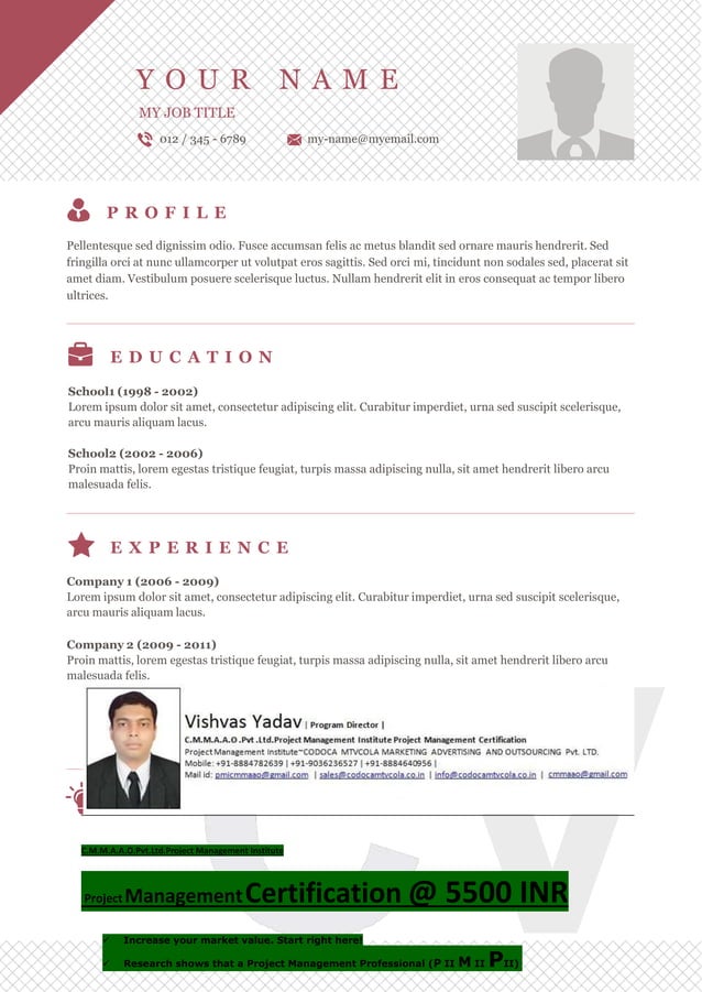 Pmi pmbok-resume template-15 | PDF