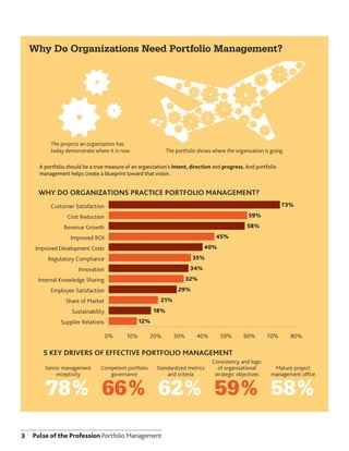 PMI - Portfolio Management | PDF