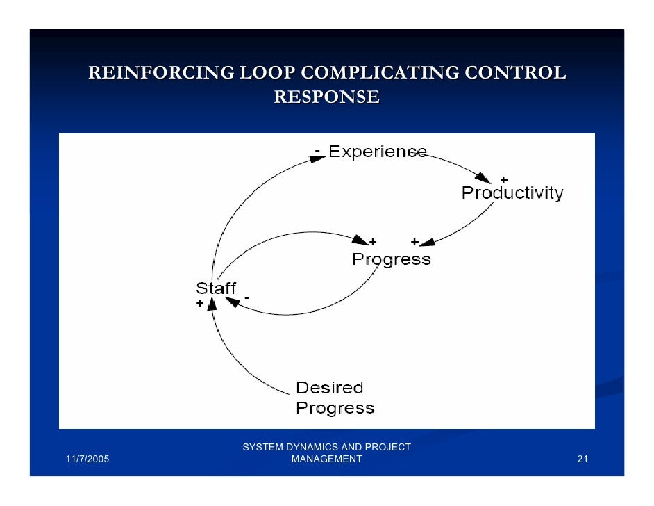 Project Performance, Feedback Loops, Risks, and System Dynamics